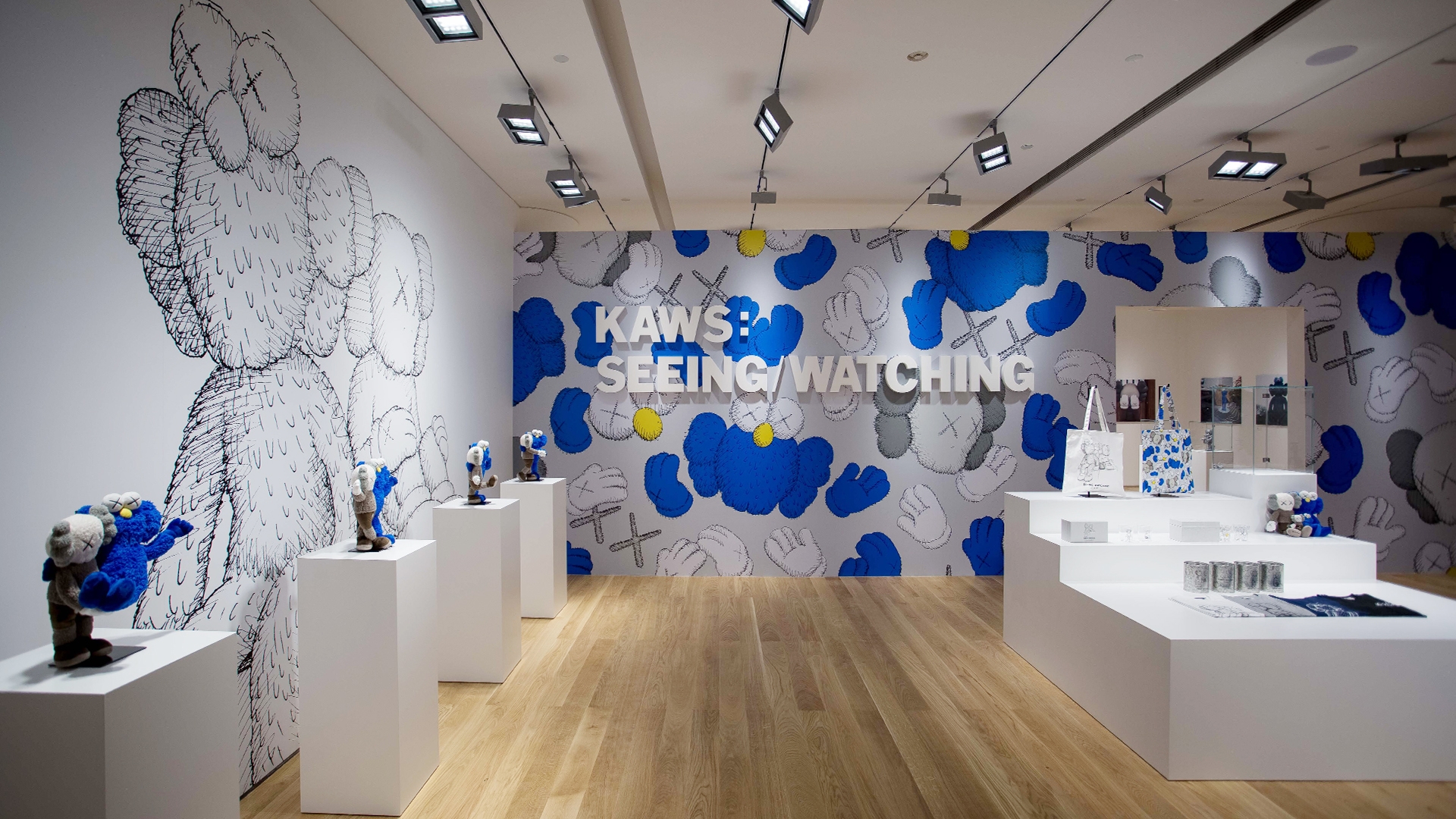 KAWS SEEING/ WATCHING | | AllRightsReserved